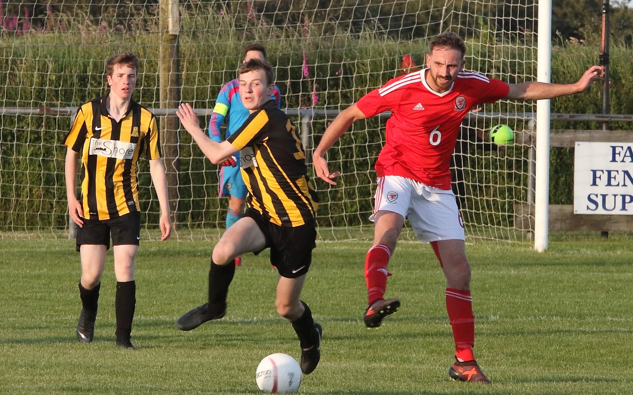 Thomas Taylor handed interim ban from all football activity by FAW ...