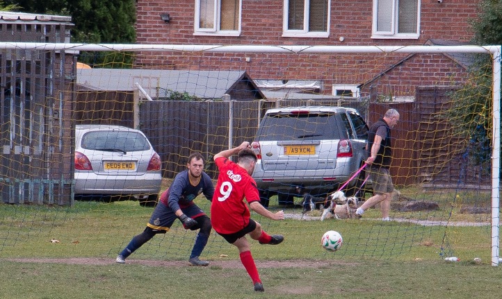 Exciting future could be on cards for Flintshire village club ...