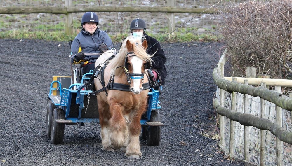 Inspirational action man Matt is on mission to become a carriage ...